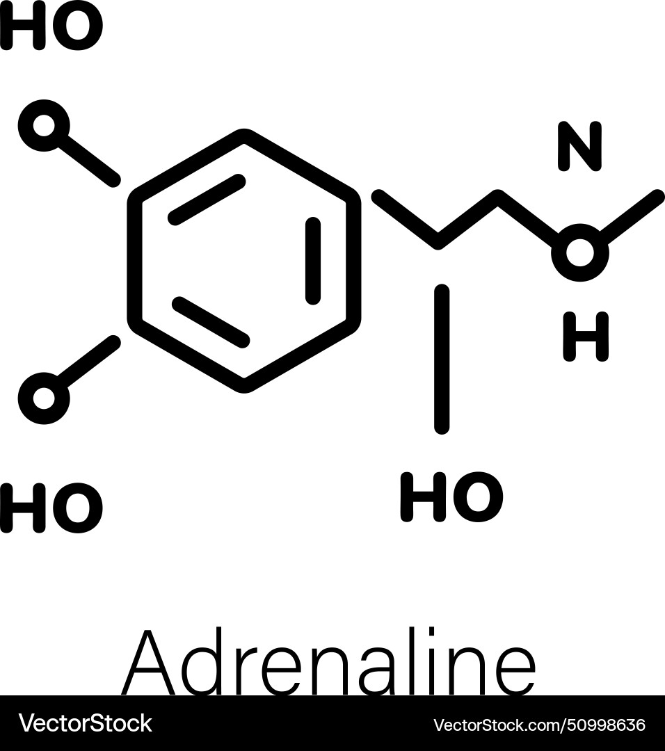 Adrenaline Royalty Free Vector Image - VectorStock