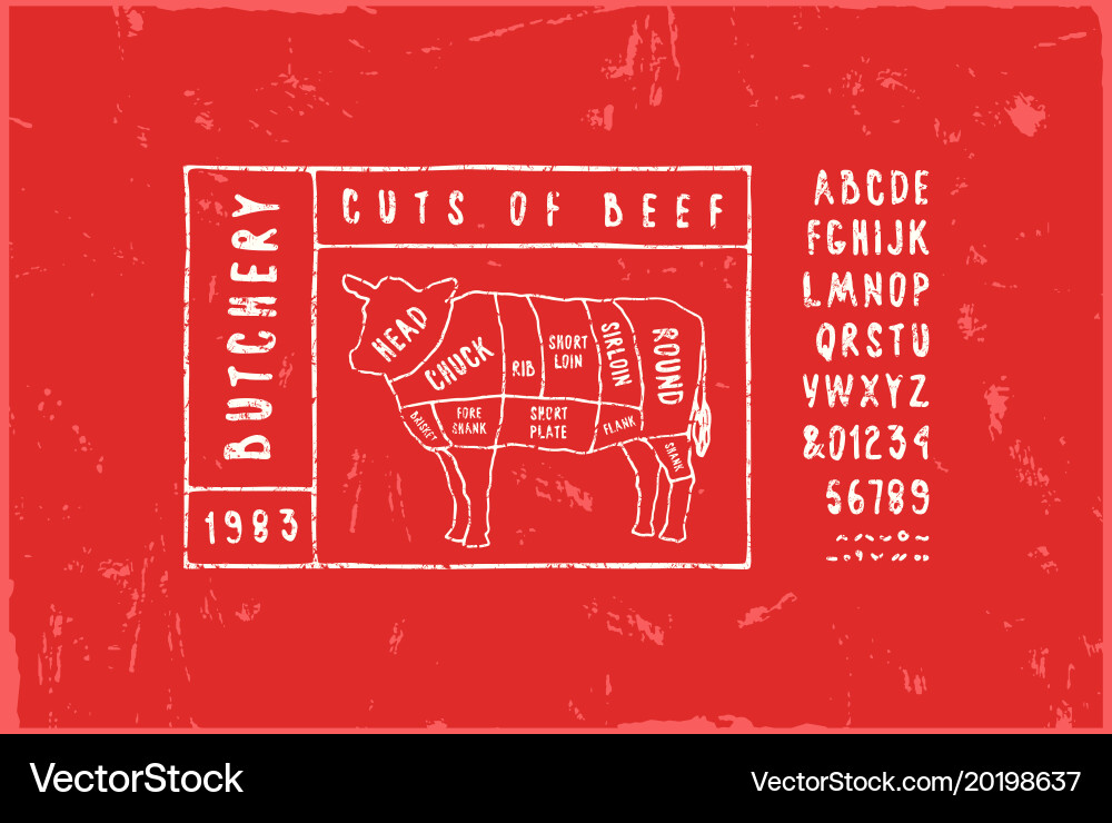 Beef Cuts Diagram - Stock Style – Royalty-Free Vector | VectorStock