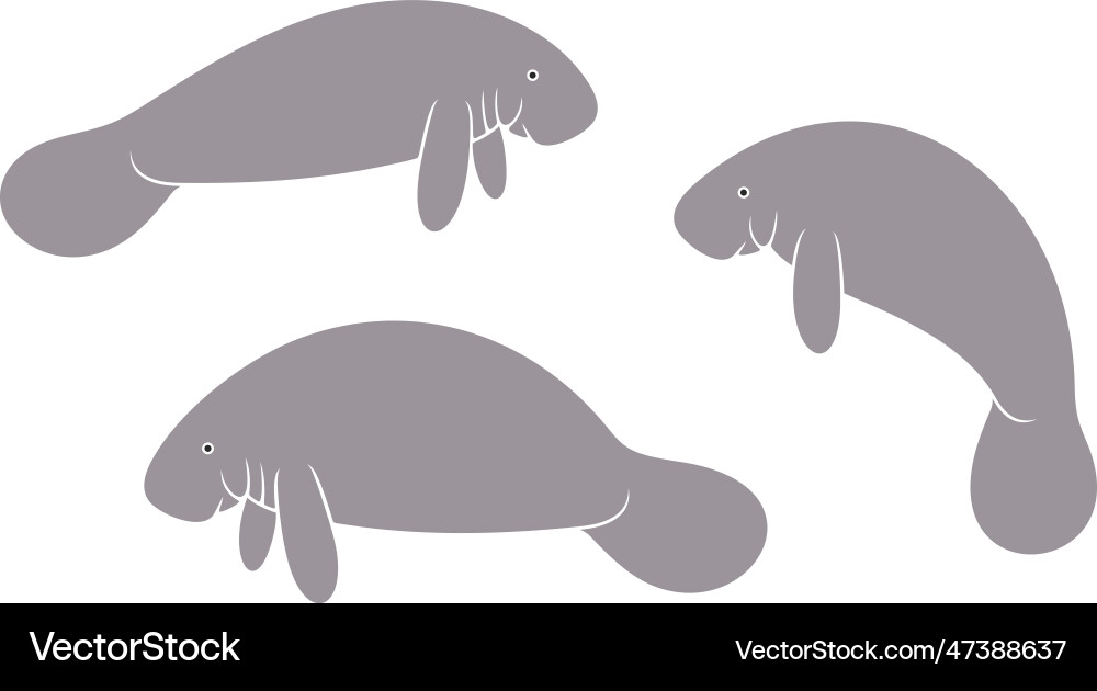 Manatee Royalty Free Vector Image - VectorStock