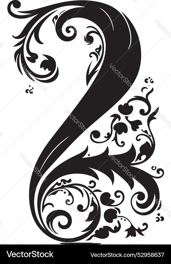 Timeless script classic letter 2 decor font bold Vector Image