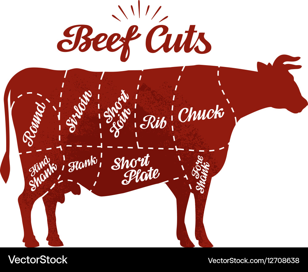 Butcher shop beef cuts Royalty Free Vector Image