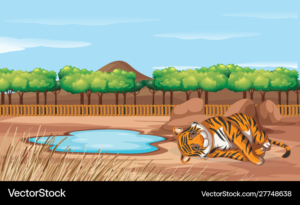 Scene with tiger in zoo Royalty Free Vector Image