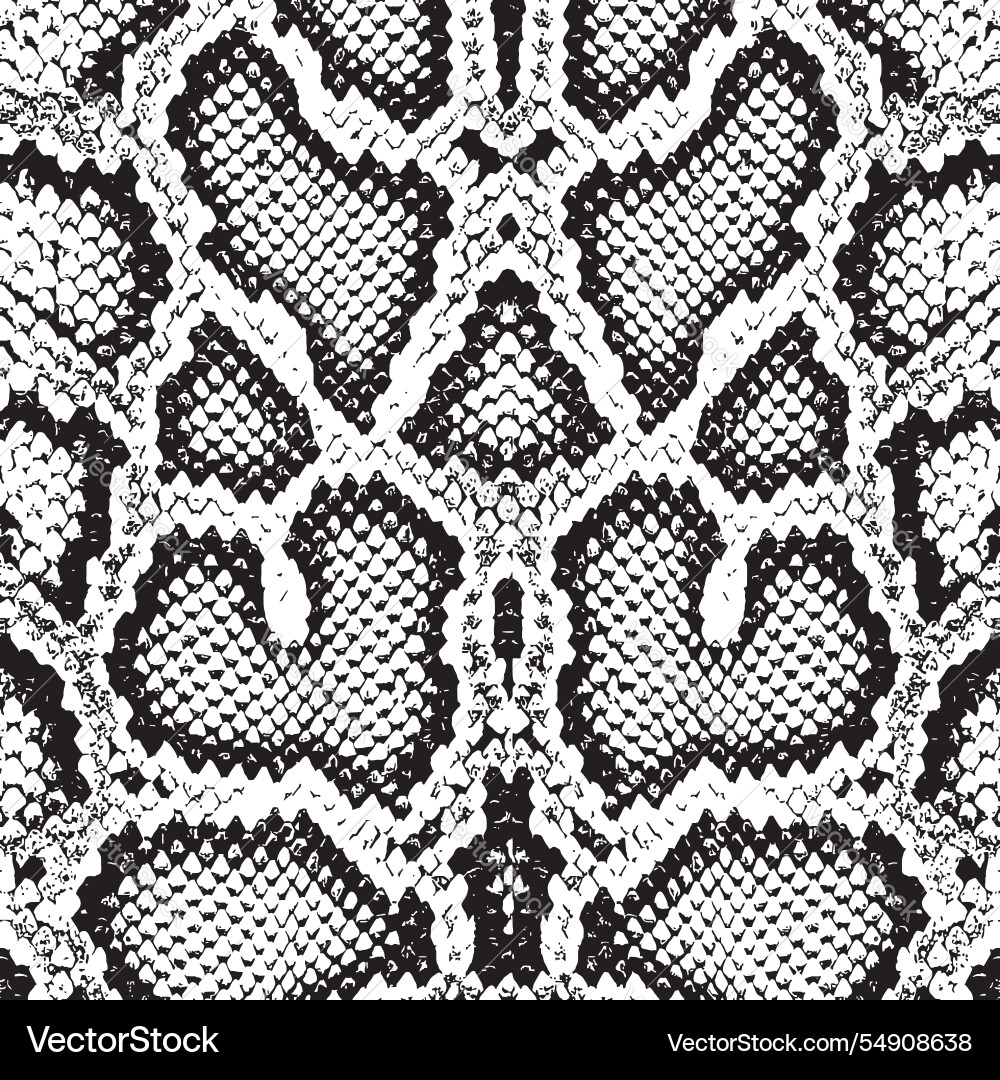 Snake skin texture black and white python pattern Vector Image