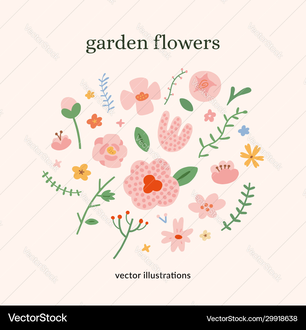 Spring flowers collection various doodle Vector Image
