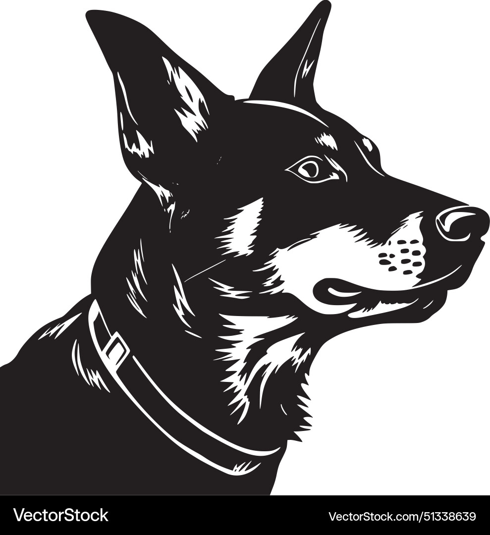 Australian kelpie - black and white isolated icon Vector Image