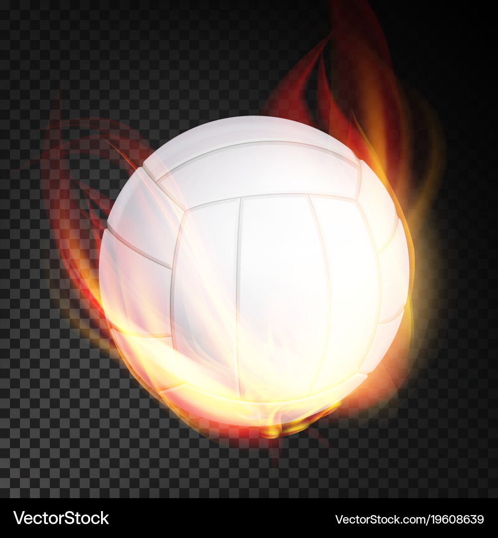 Volleyball ball realistic white volley Royalty Free Vector