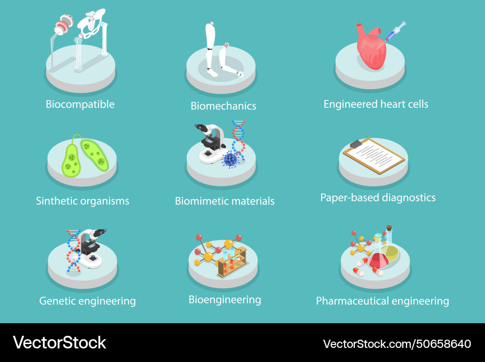 3d isometric flat Royalty Free Vector Image - VectorStock