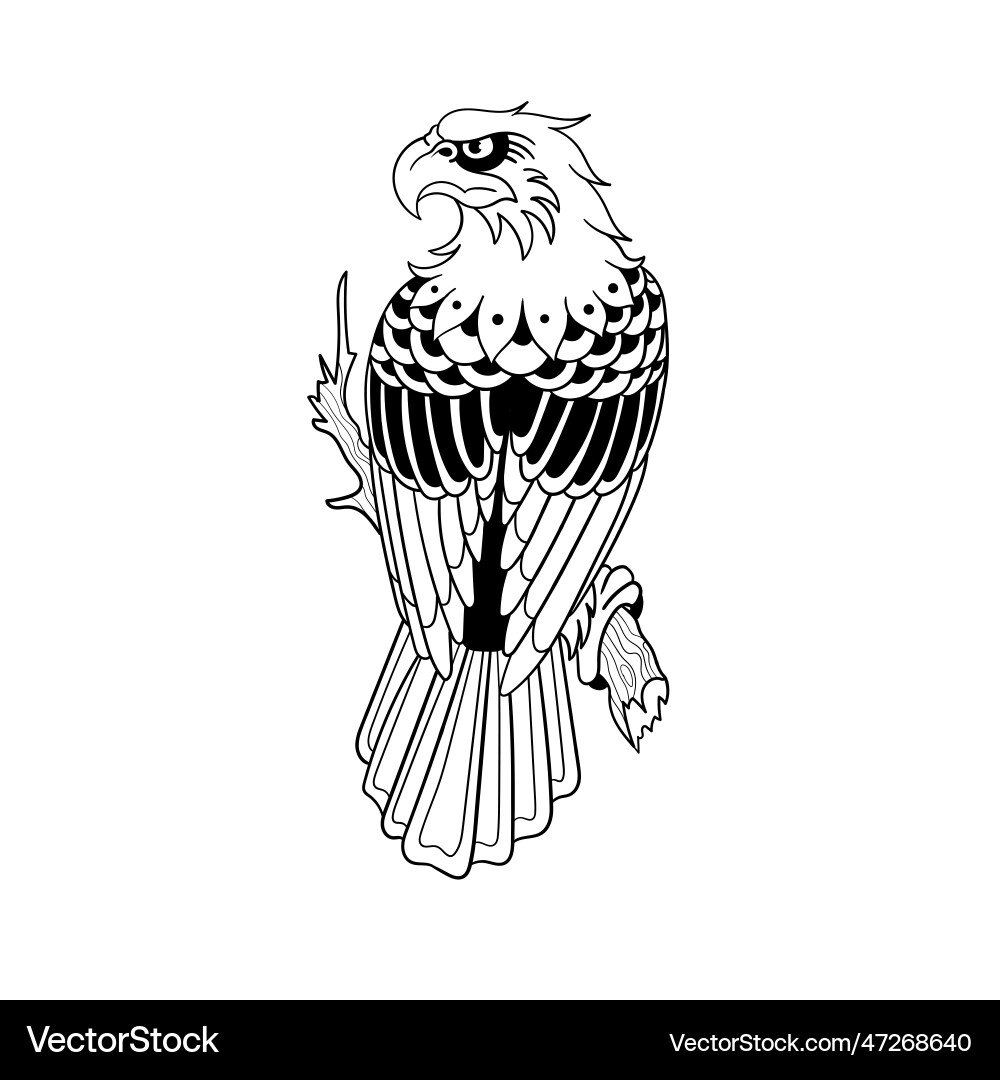 Traditional Eagle Tattoo Flash Outline Traditional Eagle Tattoo Flash