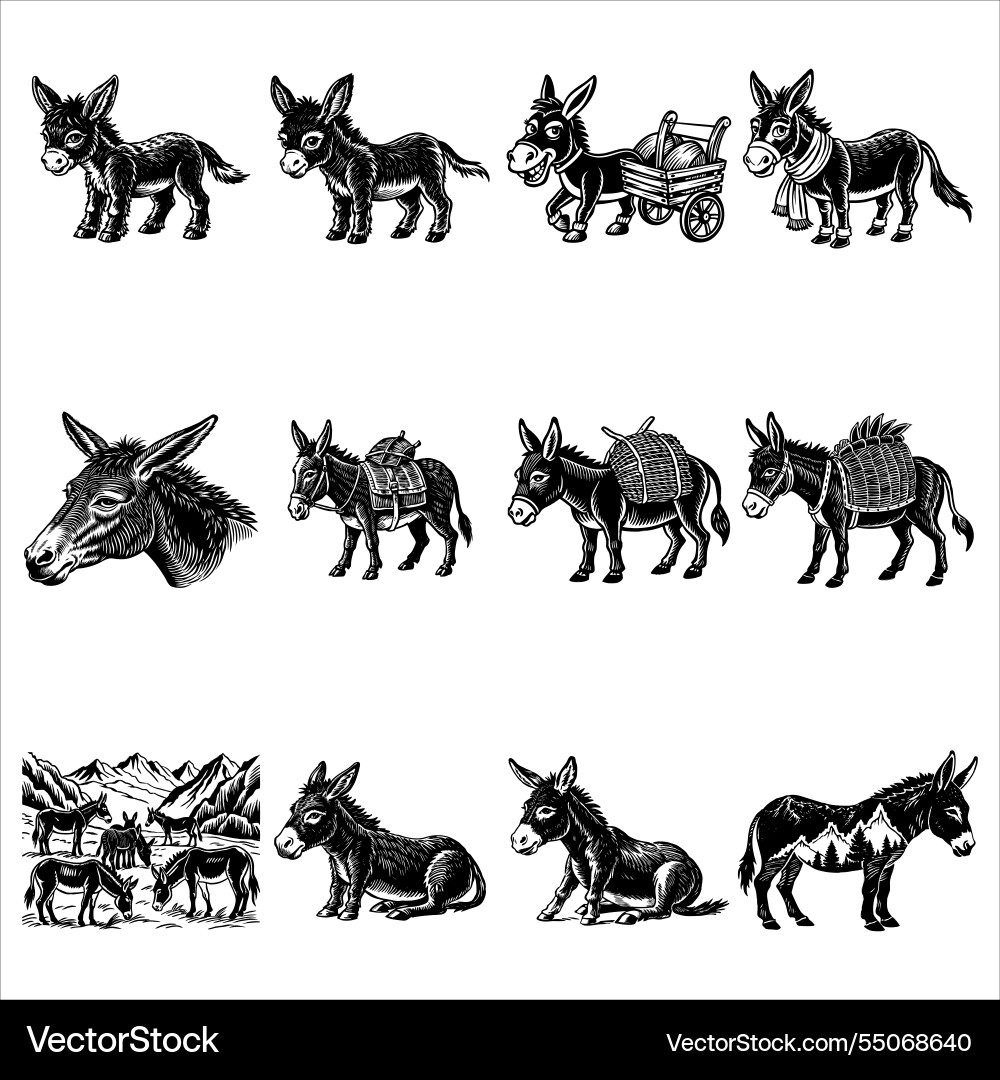 Donkey Royalty Free Vector Image - VectorStock