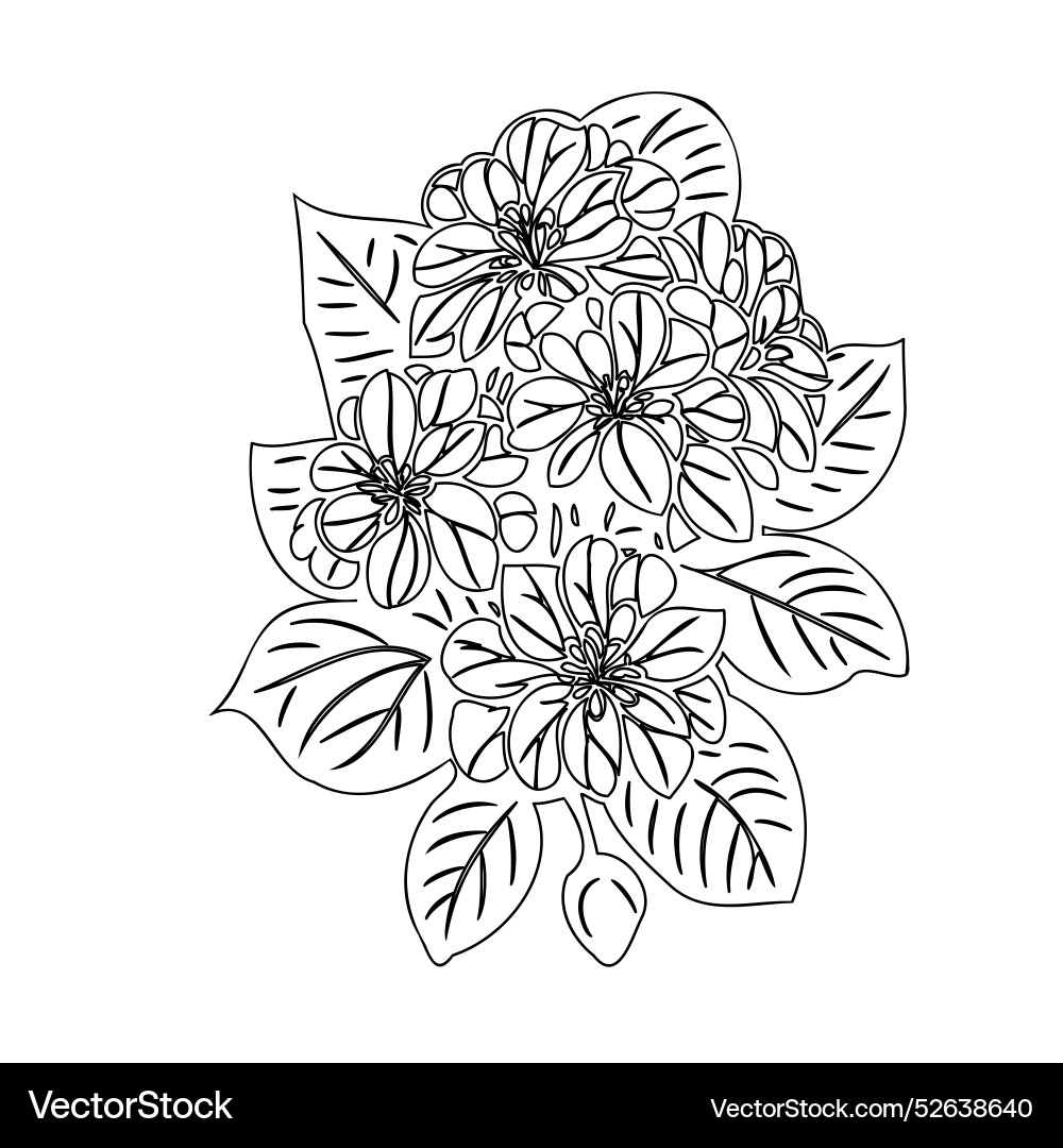 Hydrangea flower plant sketch outline Royalty Free Vector