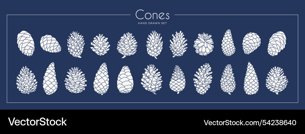Pine cones collection set Royalty Free Vector Image