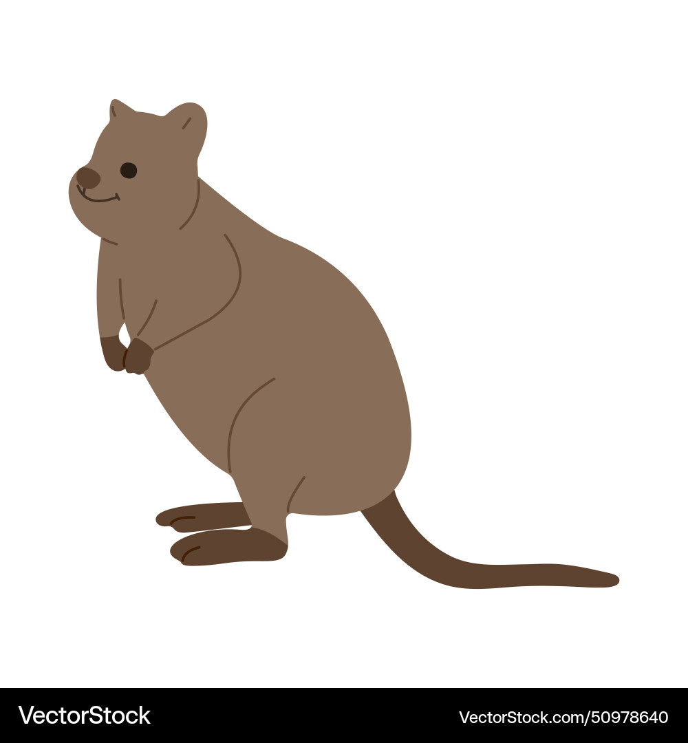 Quokka single 1 Royalty Free Vector Image - VectorStock