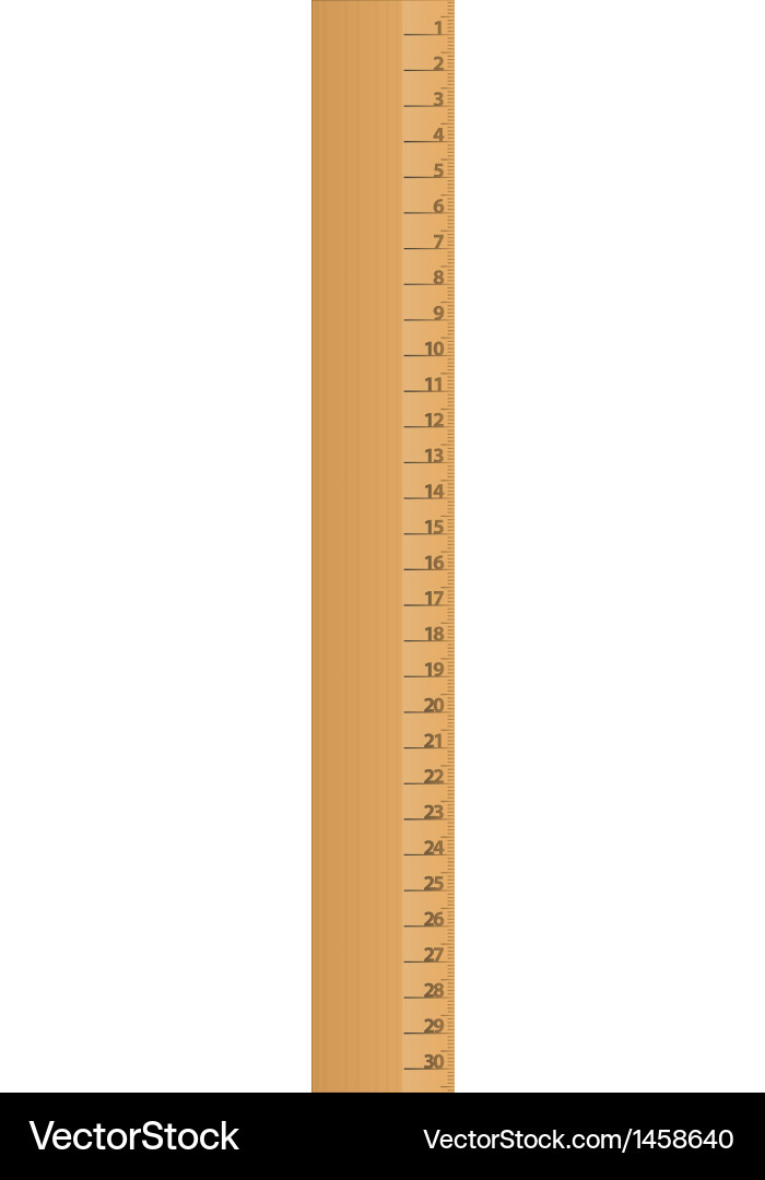 Wooden Ruler - Measuring Tool Royalty Free Vector Image