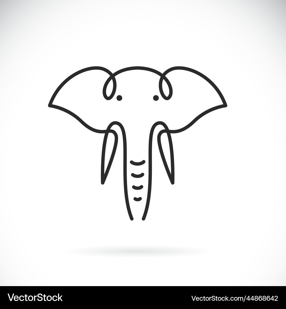 Elephant head design on white background wild Vector Image