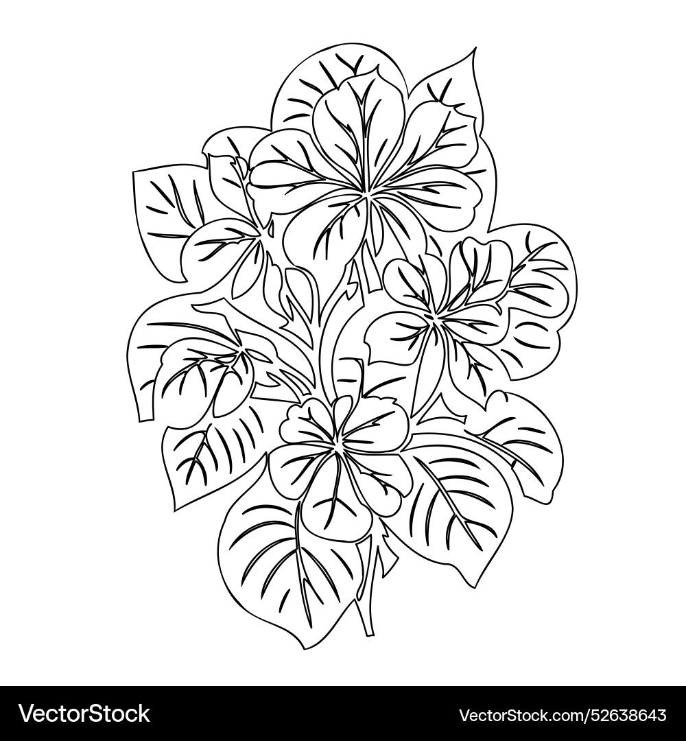 Hydrangea flower plant sketch outline Royalty Free Vector