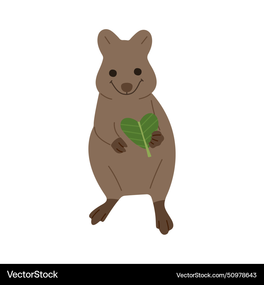 Quokka single 3 Royalty Free Vector Image - VectorStock
