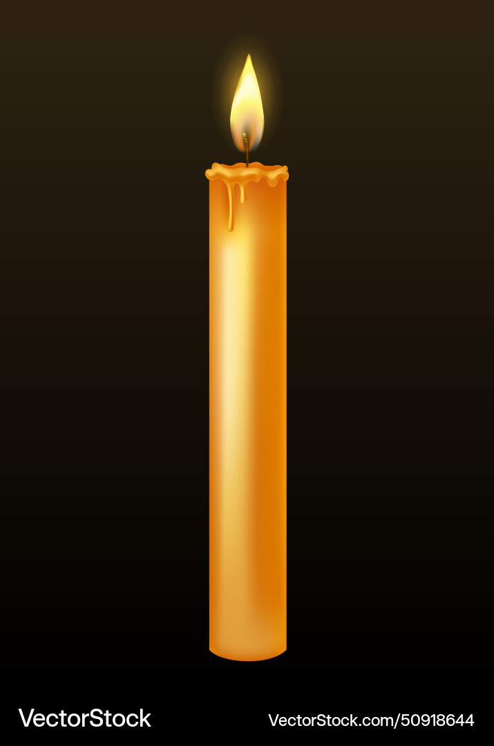 Burning candle with dripping or flowing wax Vector Image