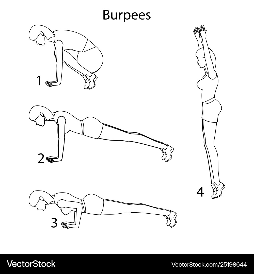 Burpees exercise outline Royalty Free Vector Image