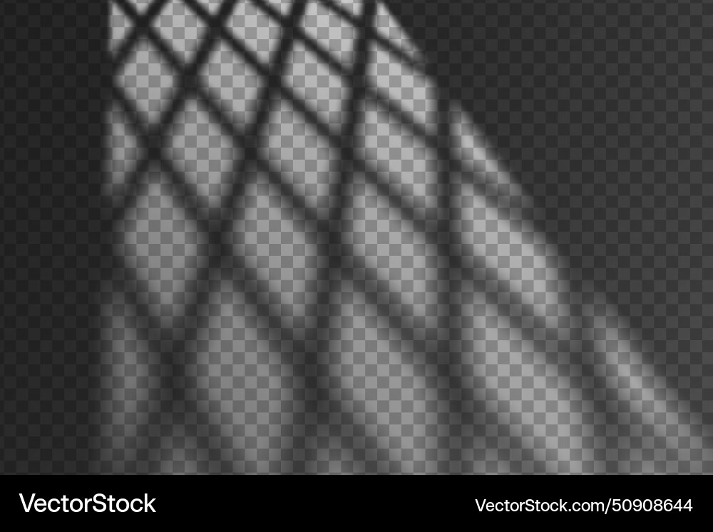 Light effect shadow overlay from stained glass Vector Image