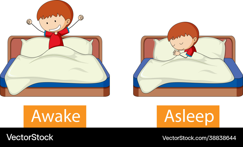 Opposite words with awake and asleep Royalty Free Vector