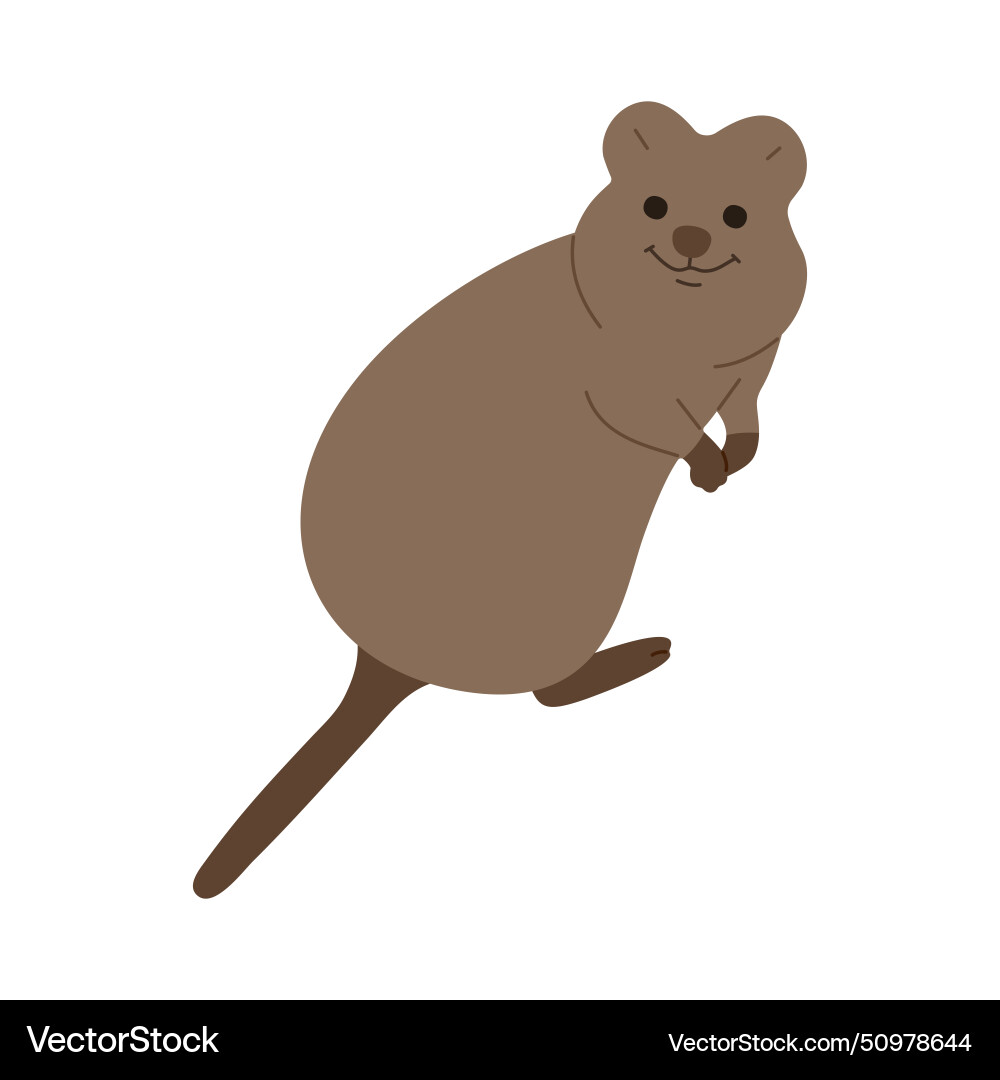 Quokka single 4 Royalty Free Vector Image - VectorStock
