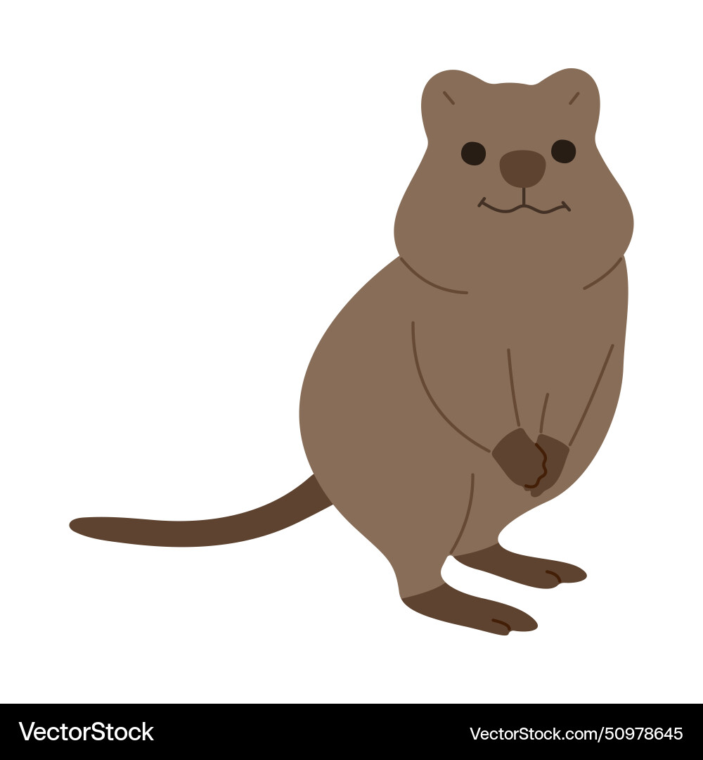 Quokka single 5 Royalty Free Vector Image - VectorStock
