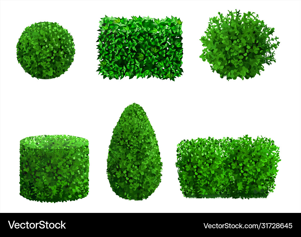Set ornamental plants and trees for landscaping Vector Image