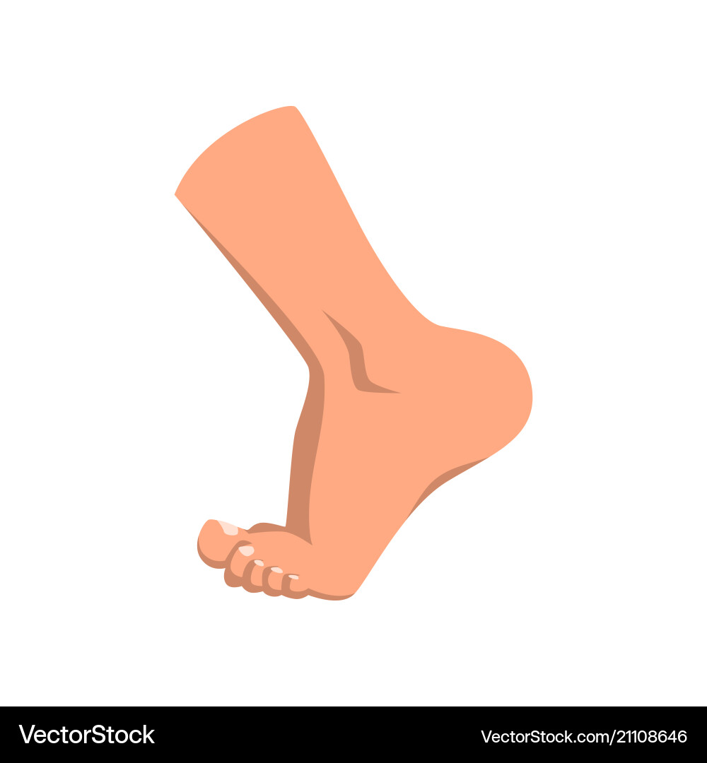 Male foot standing on toe Royalty Free Vector Image