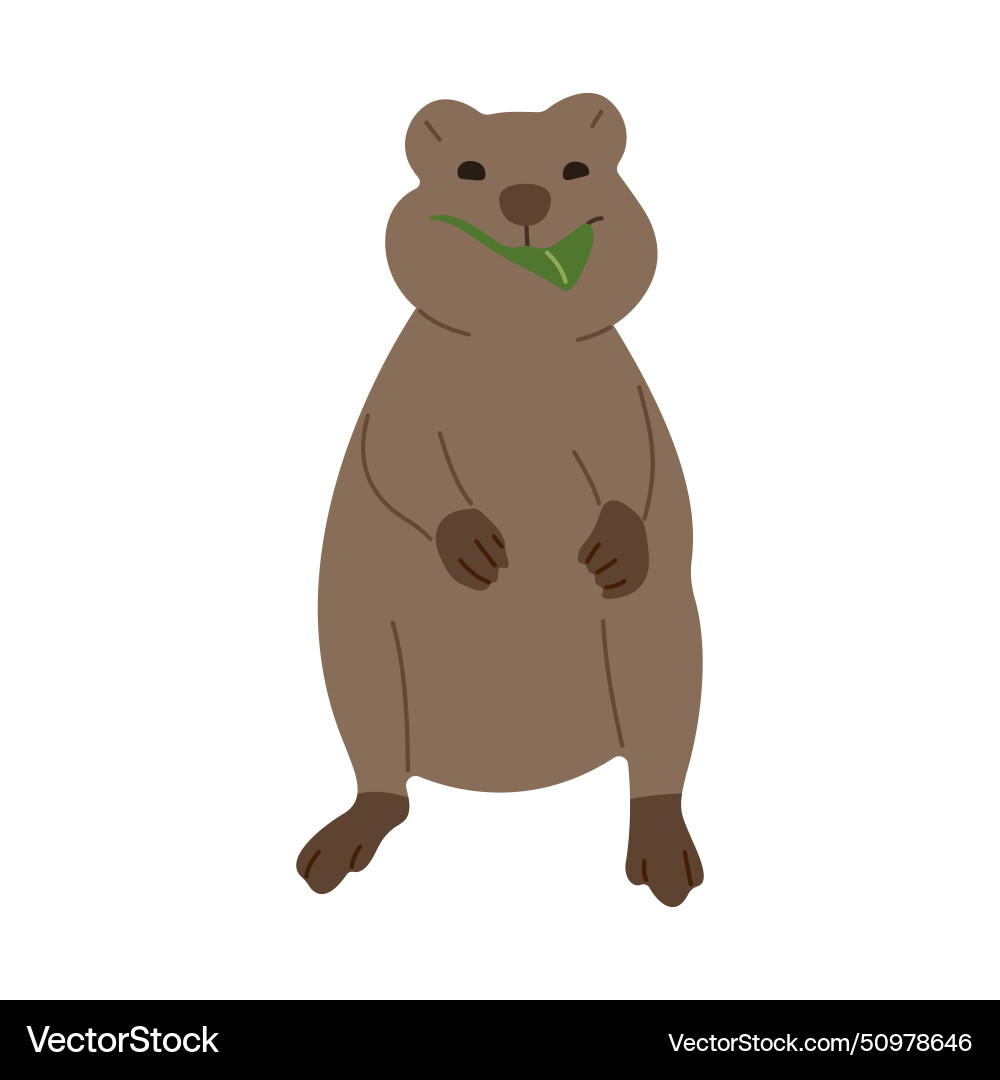 Quokka single 6 Royalty Free Vector Image - VectorStock