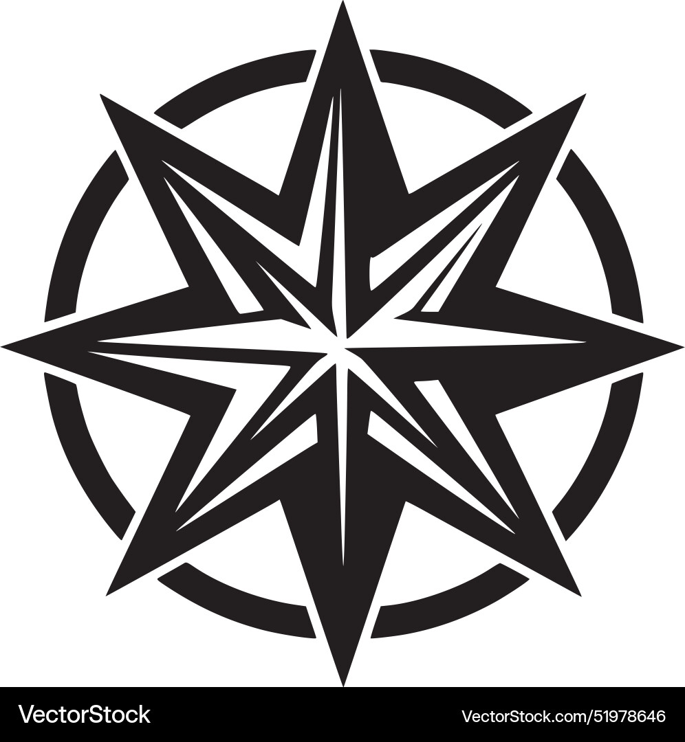 Star - high quality logo - ideal for t-shirt Vector Image