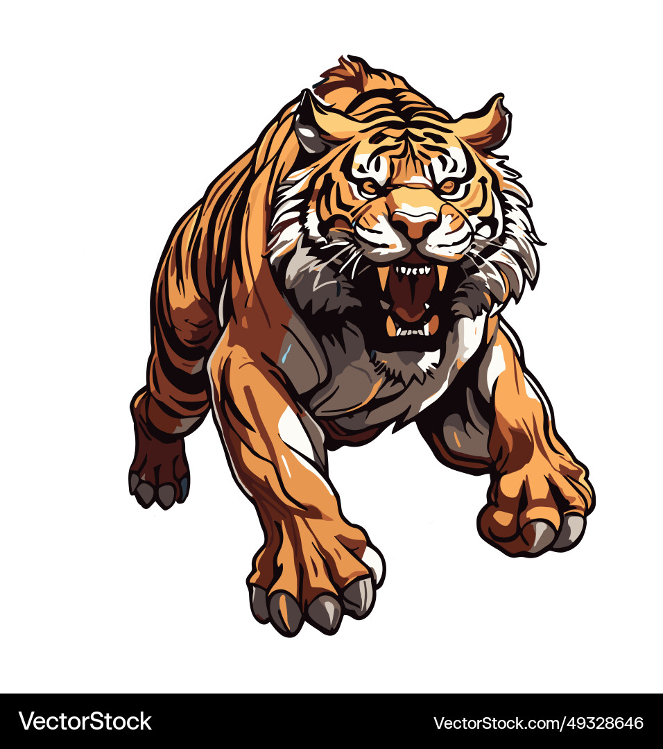Tiger attack Royalty Free Vector Image - VectorStock