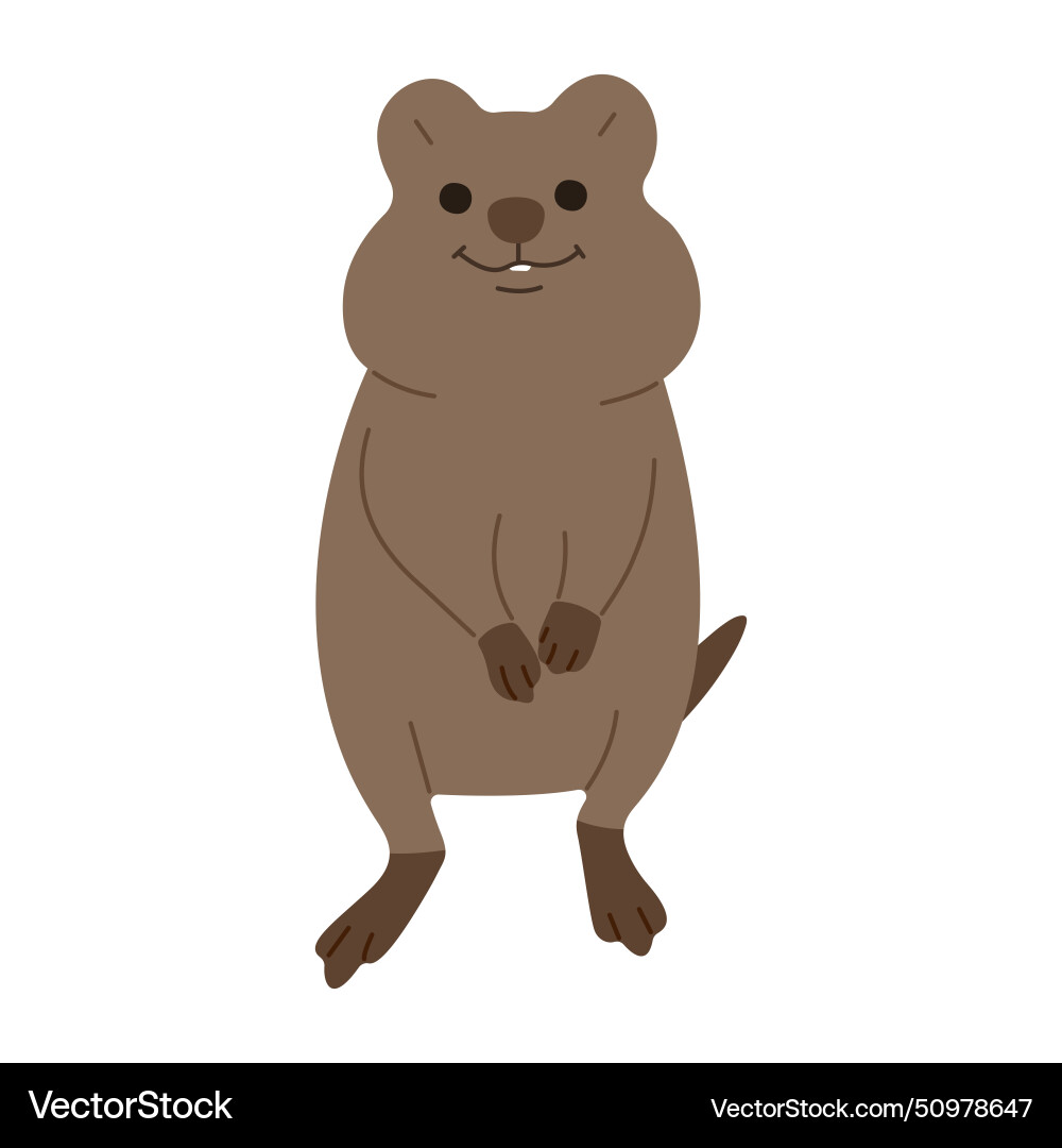Quokka single 7 Royalty Free Vector Image - VectorStock