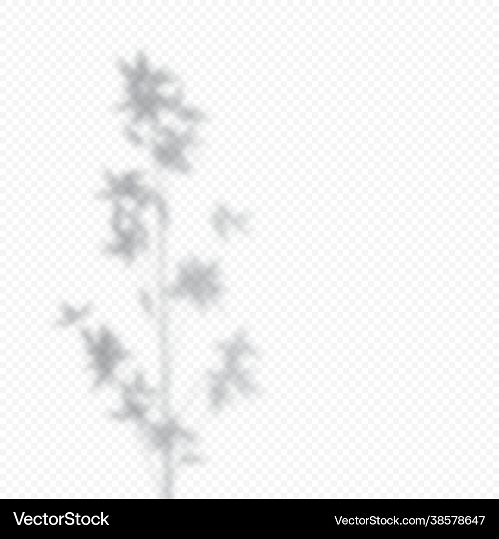 Realistic transparent overlay blured shadow Vector Image