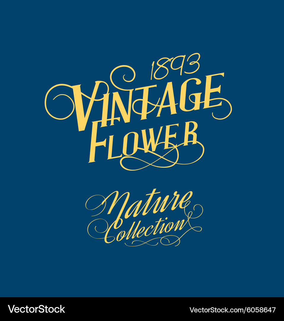Vintage style text Royalty Free Vector Image - VectorStock