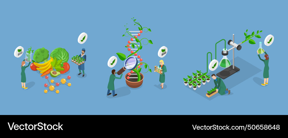 3d isometric flat of science Royalty Free Vector Image