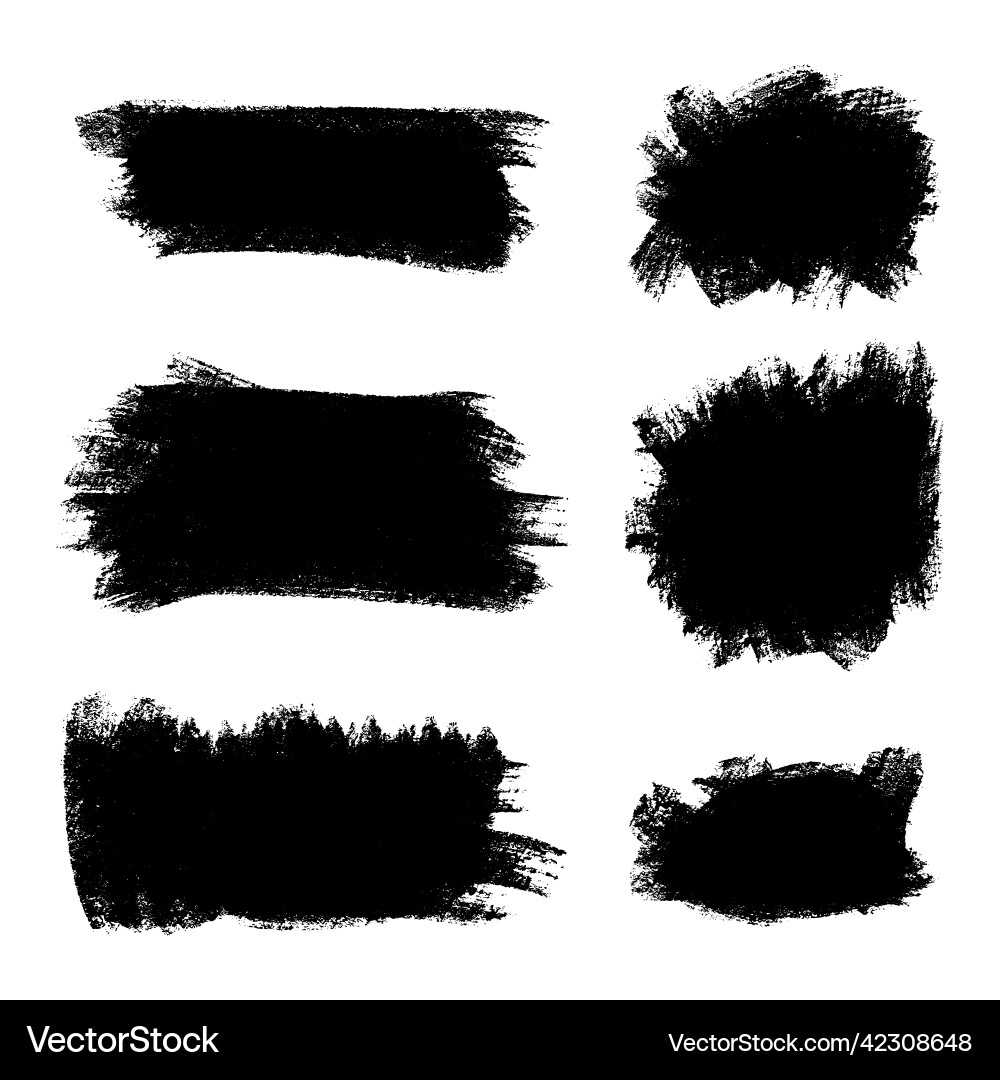 Collection of brush hand drawn graphic element Vector Image