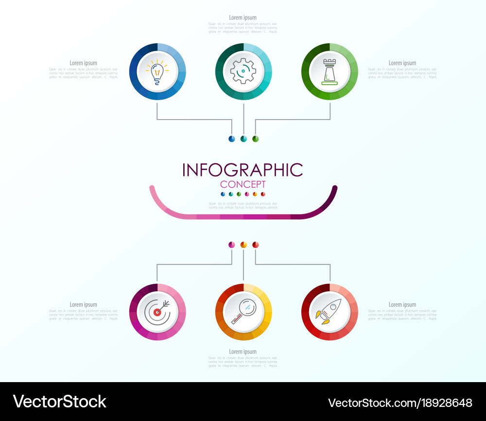 Infographic template business concept with options