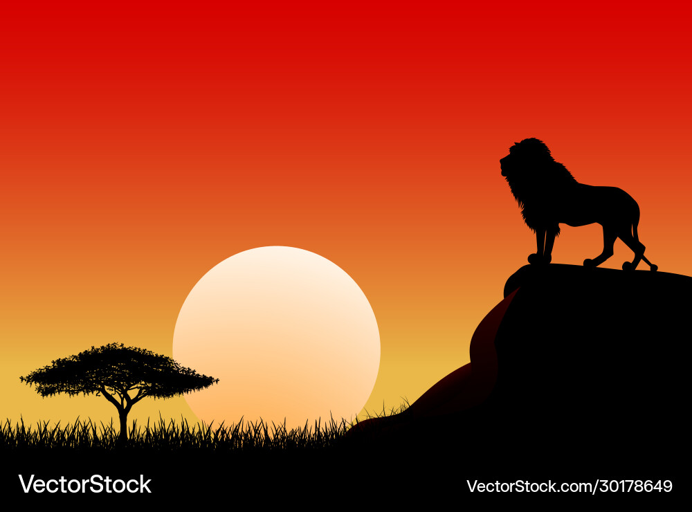 African lion sun sunset nature Royalty Free Vector Image