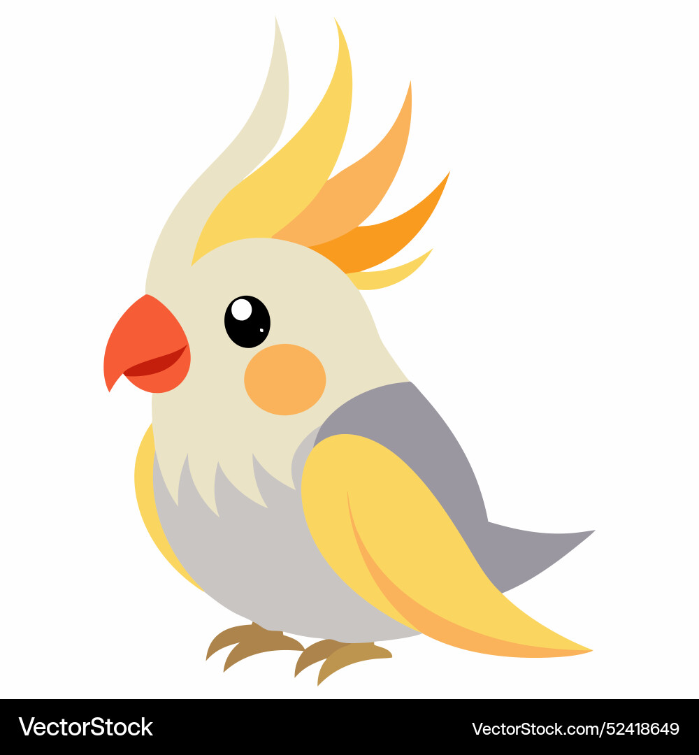 Drongo Bird Vector Images (30)