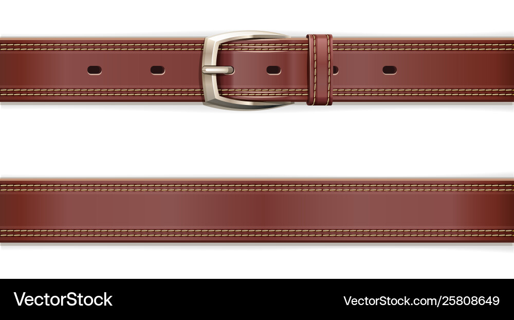Leather belt with metallic Royalty Free Vector Image