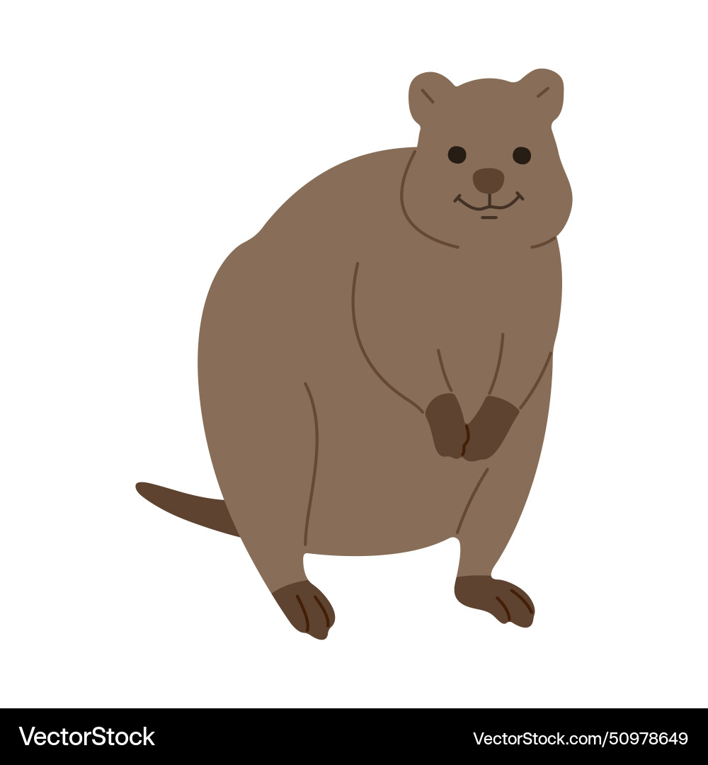 Quokka single 9 Royalty Free Vector Image - VectorStock
