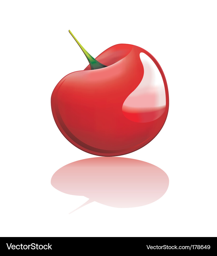 Red cherry Royalty Free Vector Image - VectorStock