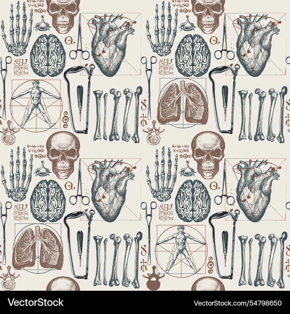 Anatomy seamless pattern with human organs Vector Image