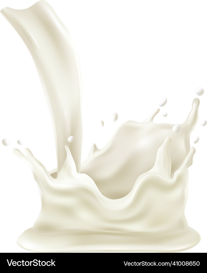 Milk splashes Royalty Free Vector Image - VectorStock