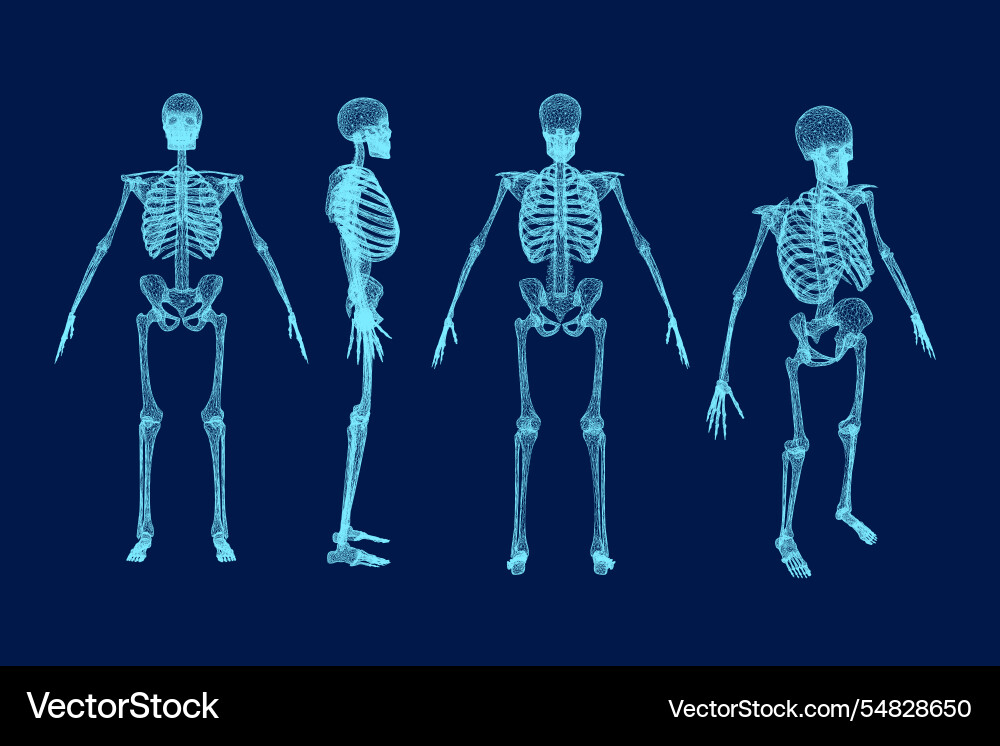 Human Body Transparent Vector Images (over 2,000)