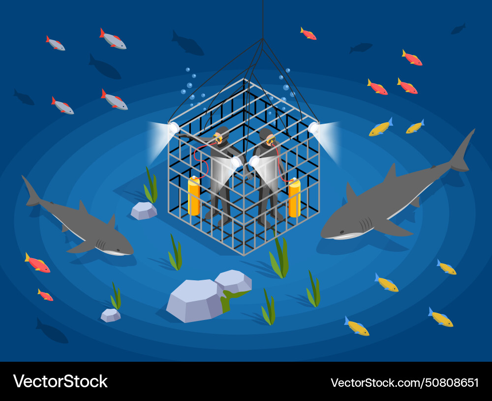 Diving isometric background Royalty Free Vector Image
