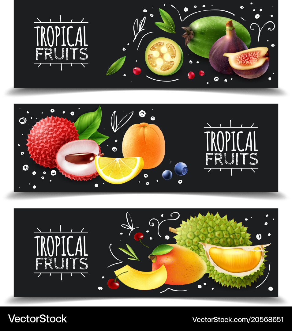 Tropical Fruit Banners Royalty Free Vector Image