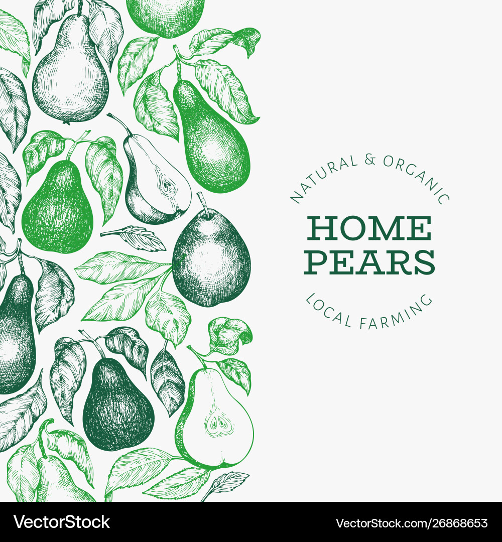 Pear design template hand drawn garden fruit Vector Image