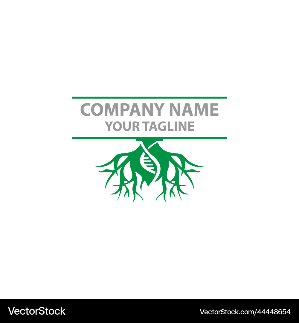 Helix Tree Root Logo Template Royalty Free Vector Image