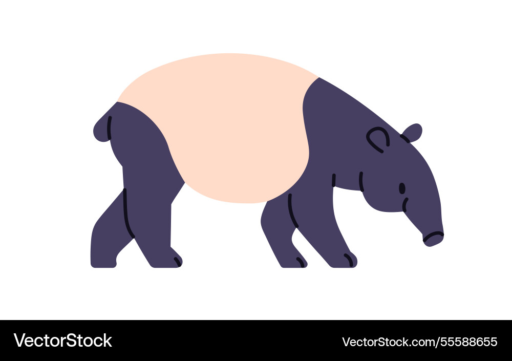 Malayan tapir walking exotic asian animal Vector Image